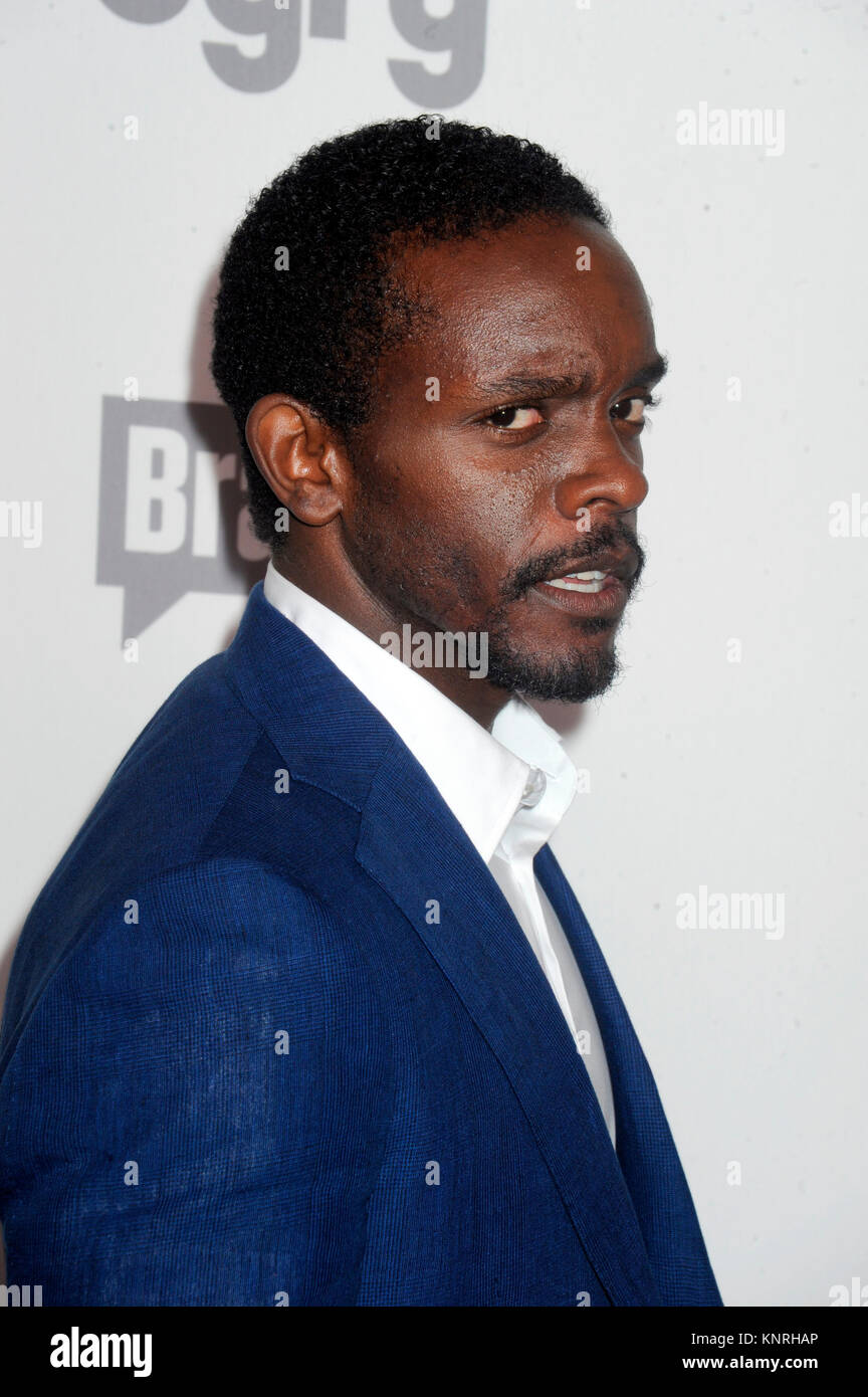 NEW YORK, NY - MAY 14: Chris Chalk attends the 2015 NBCUniversal Cable ...