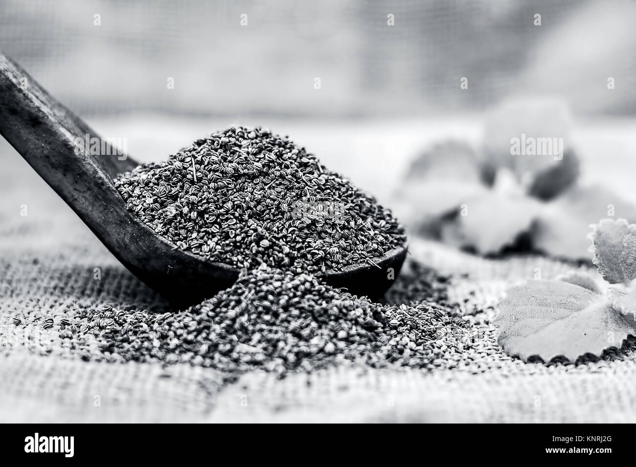 Ajwain texture hi-res stock photography and images - Alamy