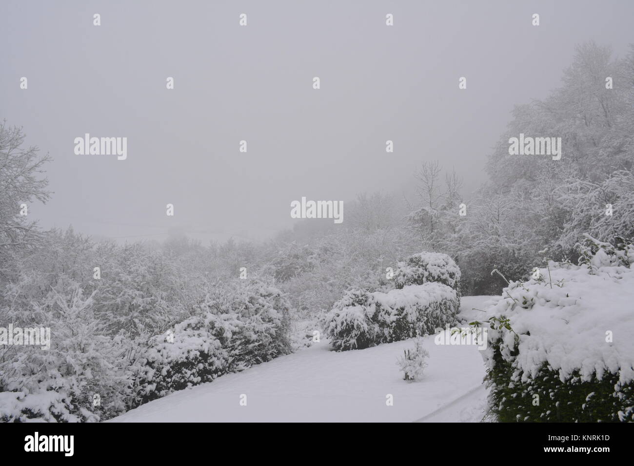 sloping garden with lawn trees and bushes after a very heavy snowfall ...