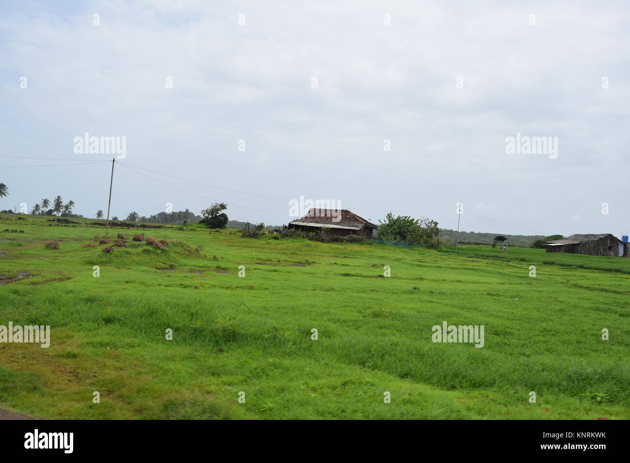 Green farms for farm house or farms for sale photos. Beautiful farms ...