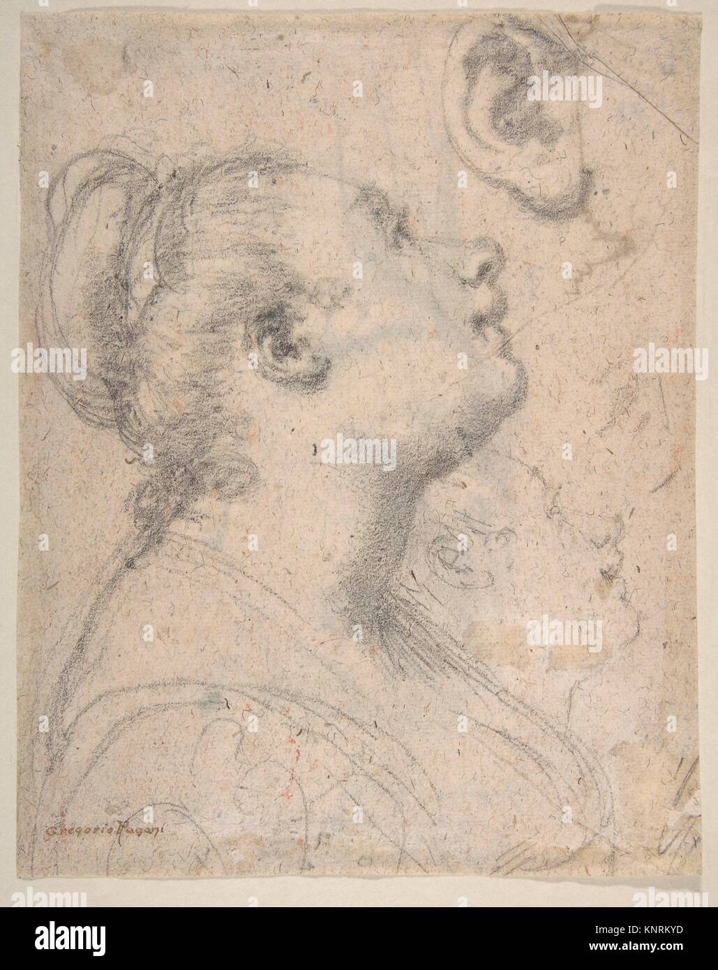 The Head and Shoulders of a Woman in Profile; Separate Studies of Her ...