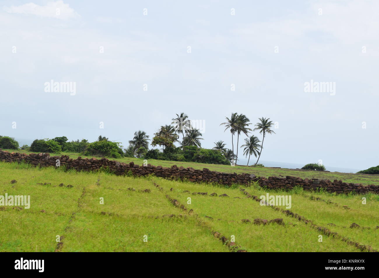 Green farms for farm house or farms for sale photos. Beautiful farms ...