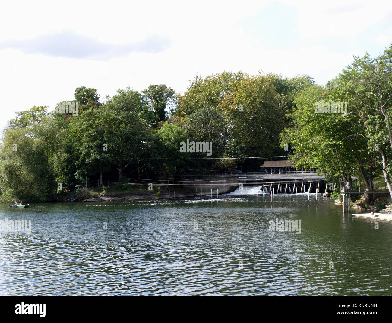 View across river towards Shepperton Lock from bank of the River Thames ...