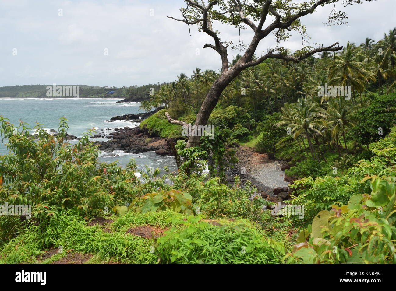 Sea view from mountain. Sea, trees and mountain. Rocky sea view with ...