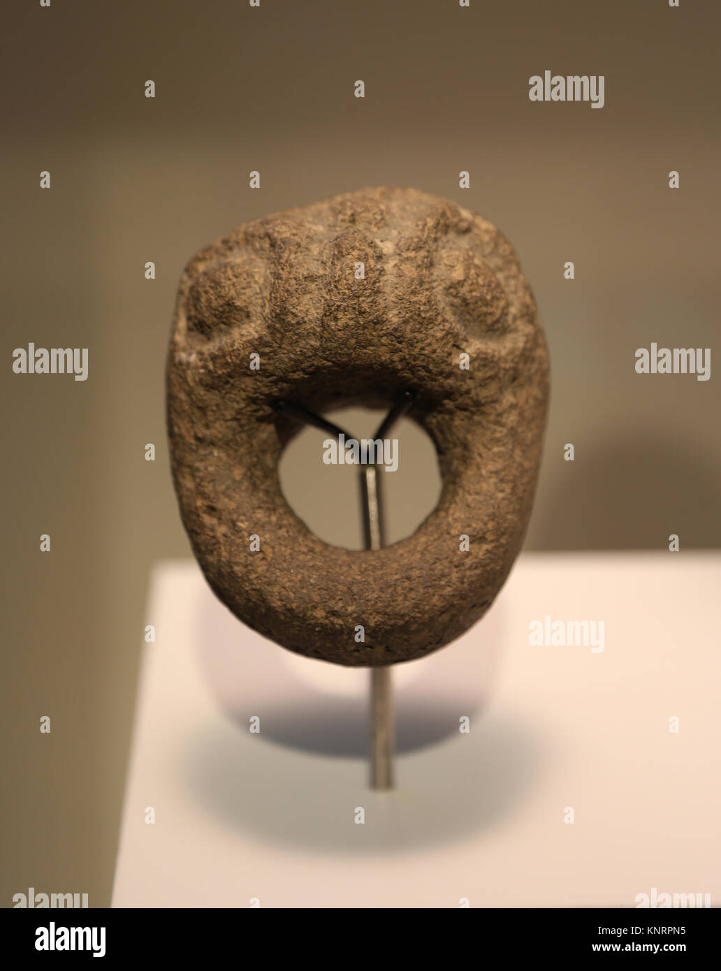 Handstone, ballgame paraphernalia. Mayan art. Mexico or Guatemala. 300 ...