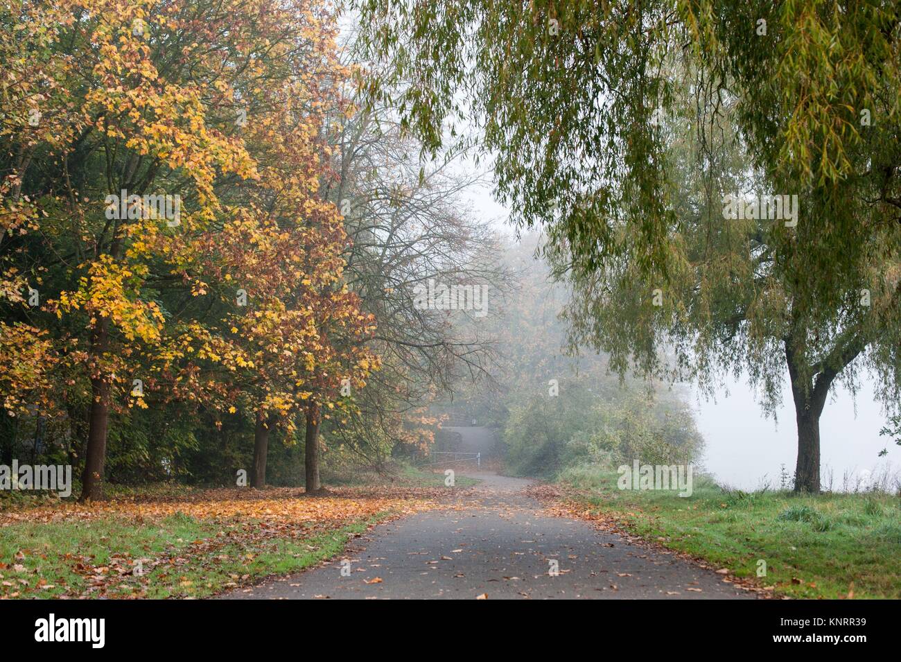 Bristol autumn leaves hi-res stock photography and images - Alamy