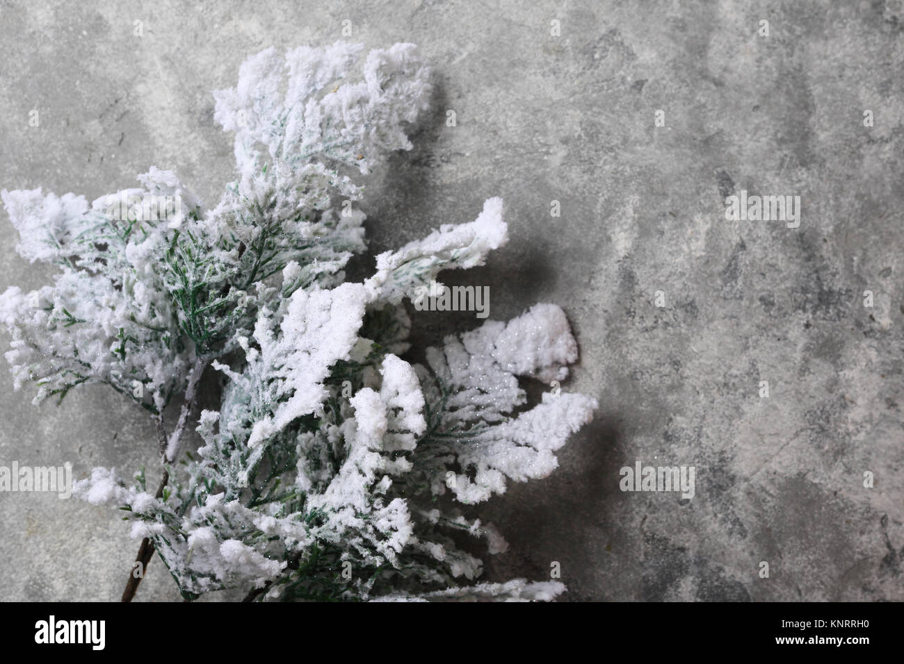 Christmas holiday loft background with branches Stock Photo - Alamy
