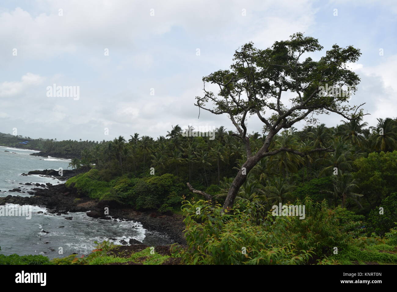 Sea view from mountain. Sea, trees and mountain. Rocky sea view with ...