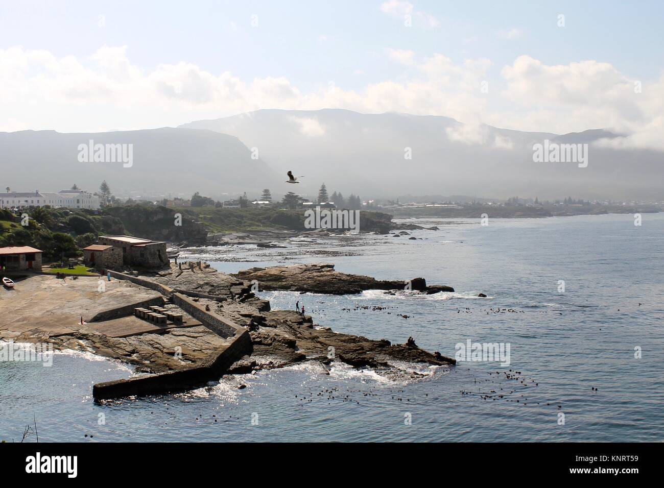 Hermanus town hi-res stock photography and images - Alamy
