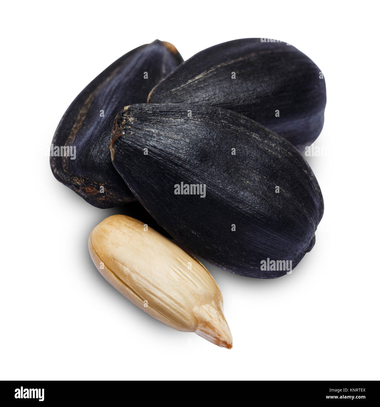 sunflower seeds on white background. clipping path Stock Photo - Alamy