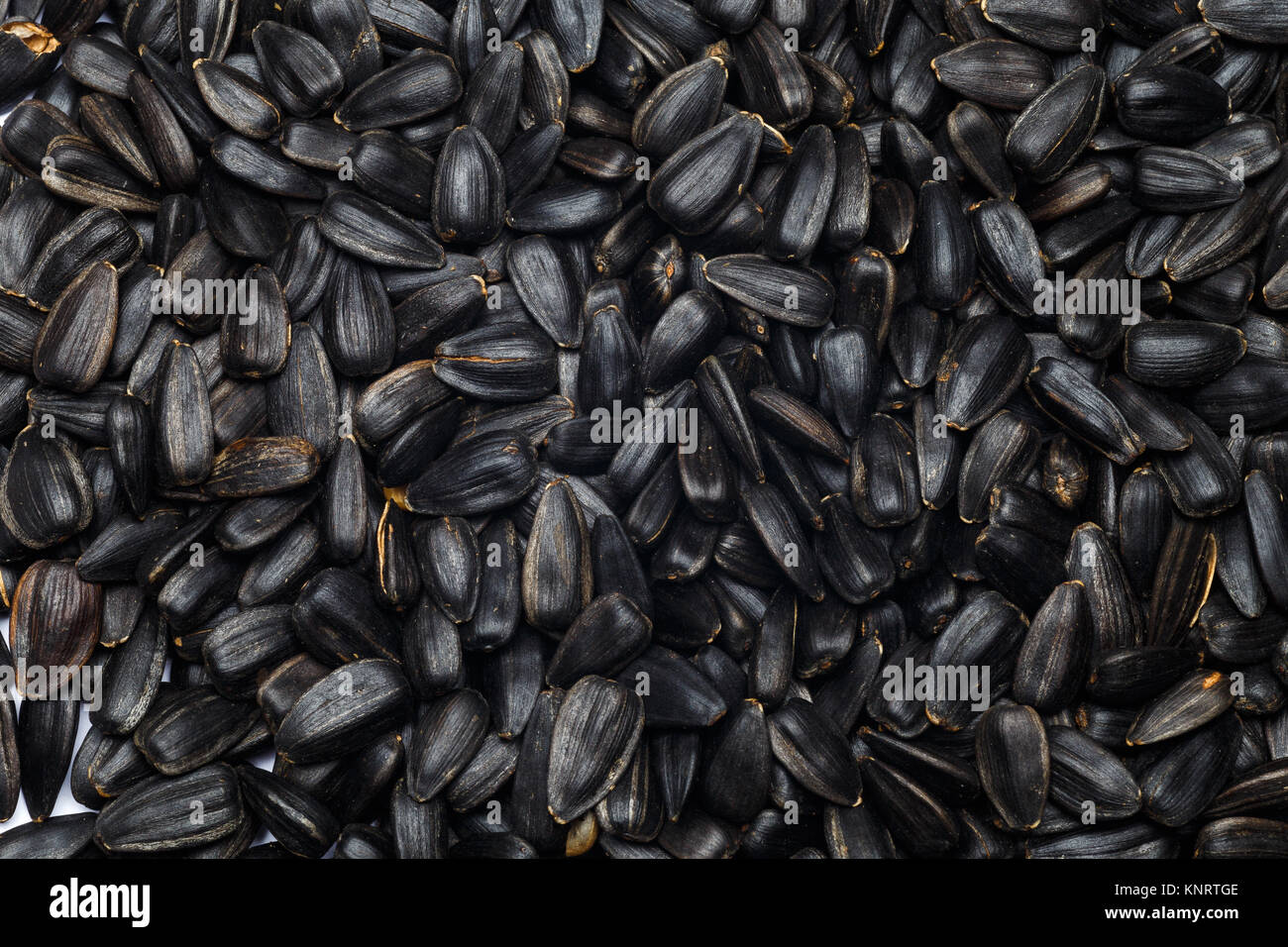 texture of seeds of a sunflower Stock Photo - Alamy