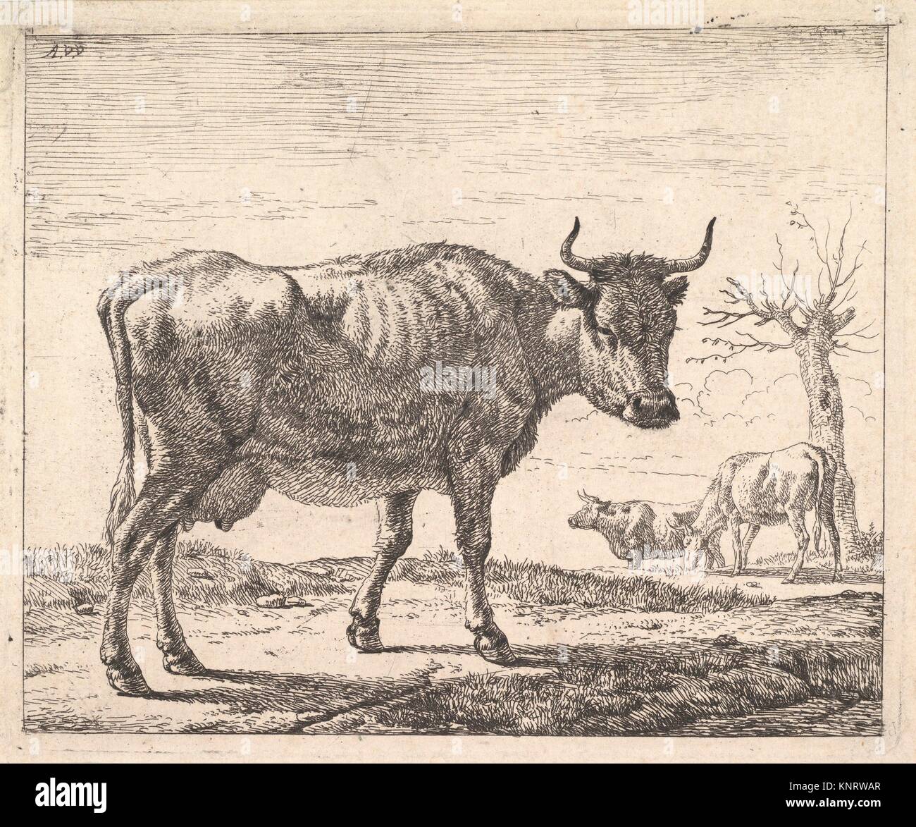 Three Cows. Artist: Adriaen van de Velde (Dutch, Amsterdam 1636-1672 ...