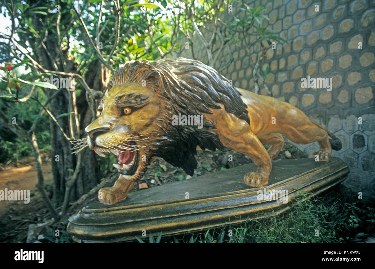 Vietnam, China, Asia, Phat, Thay,Tay An, Temple, Lion Chao, Doc Stock ...