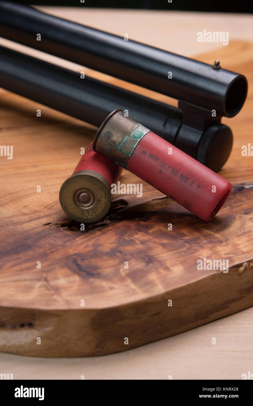 Shotgun shell hi-res stock photography and images - Alamy