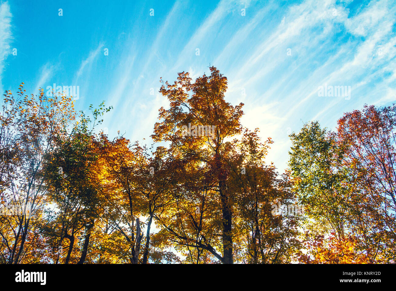 Fall sunny hi-res stock photography and images - Alamy