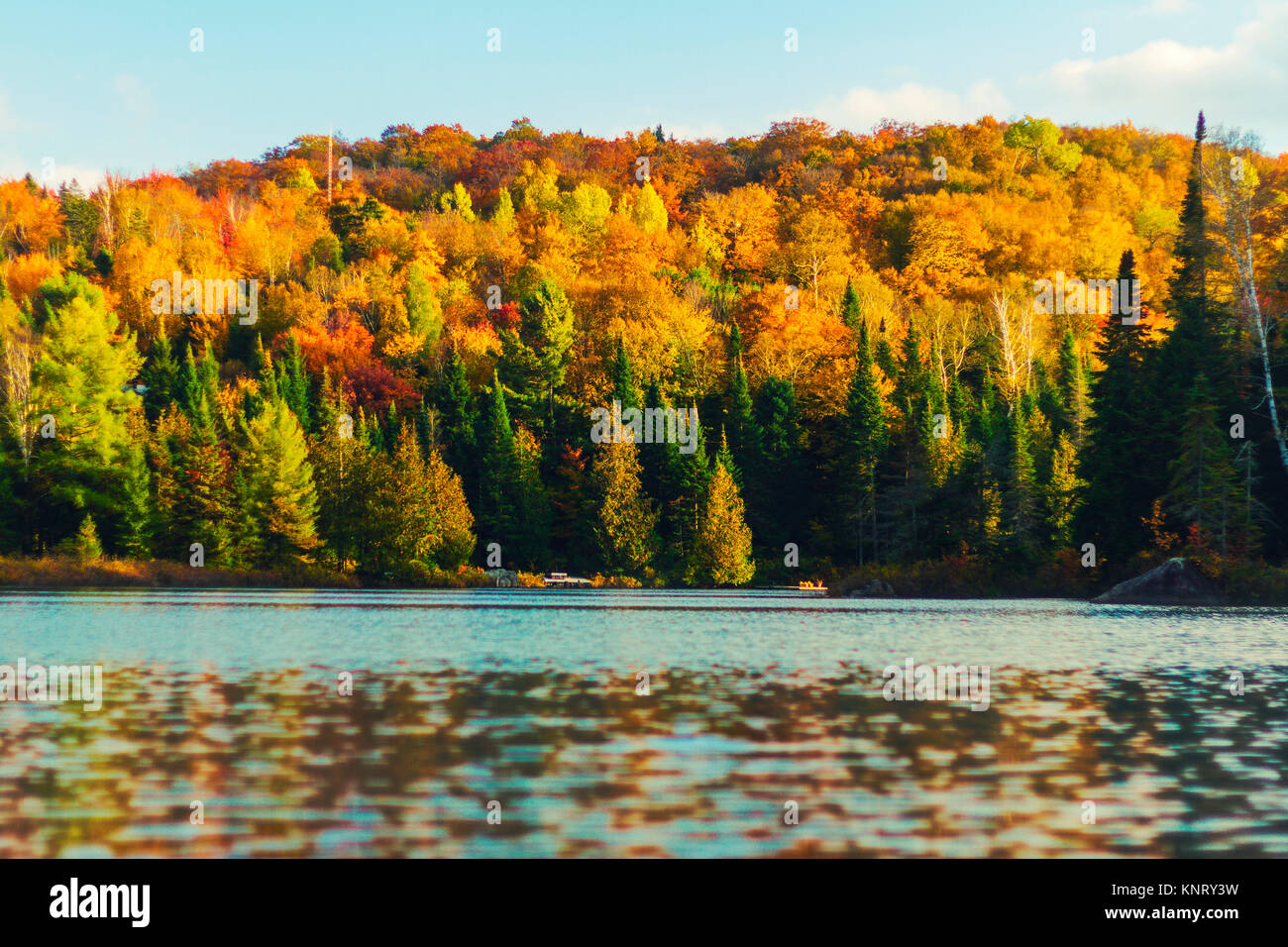 Quebec forest camping hi-res stock photography and images - Alamy