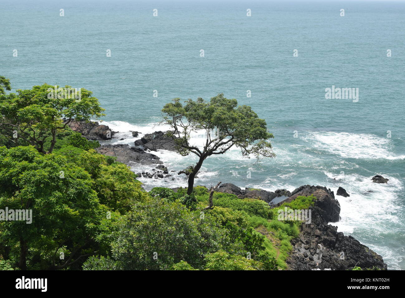 Sea view from mountain. Sea, trees and mountain. Rocky sea view with ...