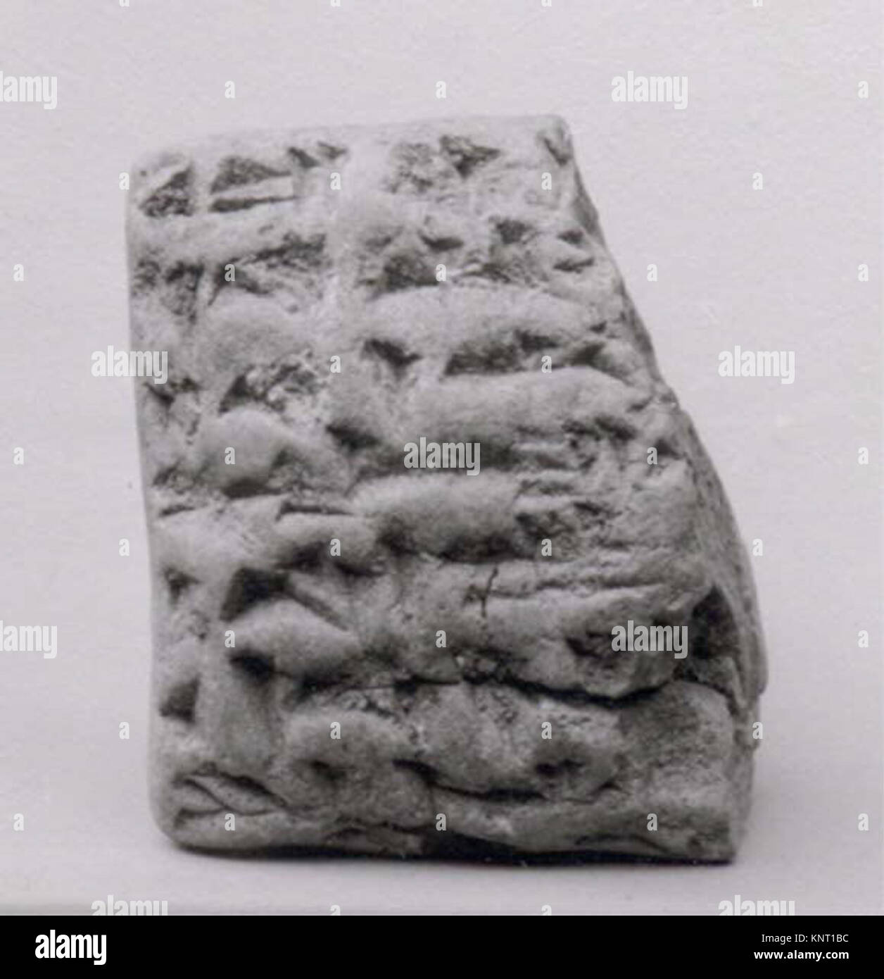 Barley allocations hi-res stock photography and images - Alamy