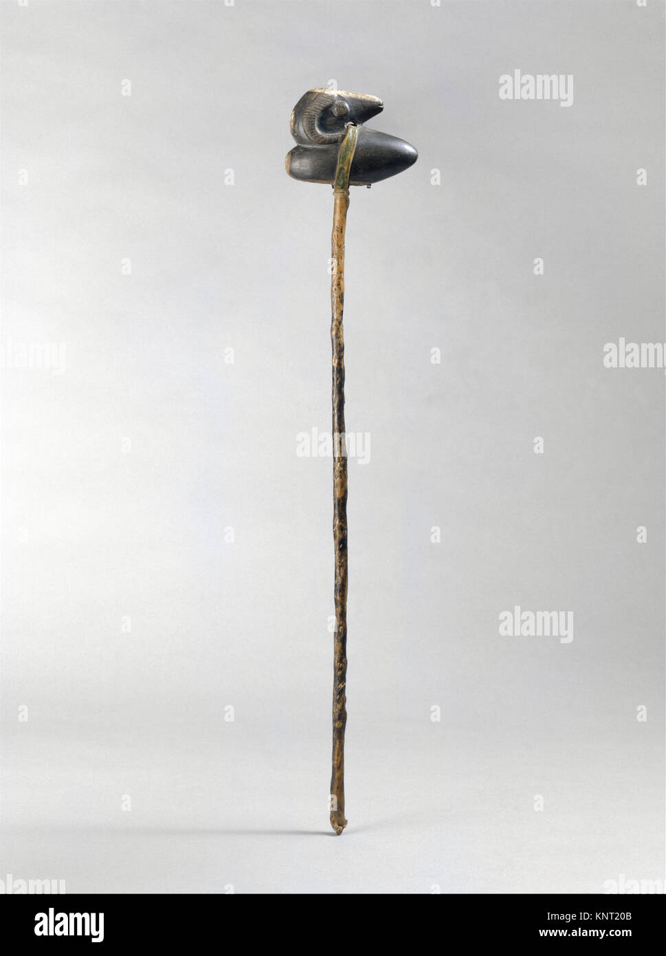 This club, known as a skullcracker, is a historical weapon with a solid ...