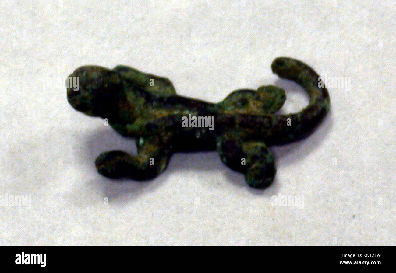 Copper lizard hi-res stock photography and images - Alamy