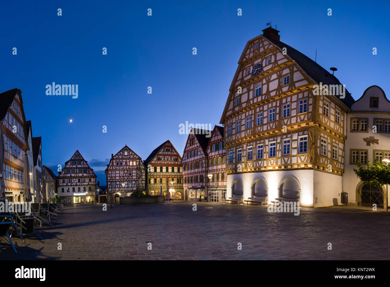 Leonberg hi-res stock photography and images - Alamy