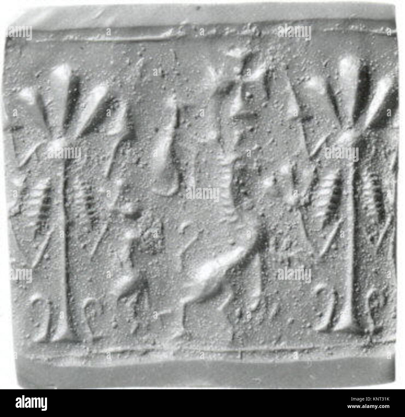 Elamite head hi-res stock photography and images - Alamy