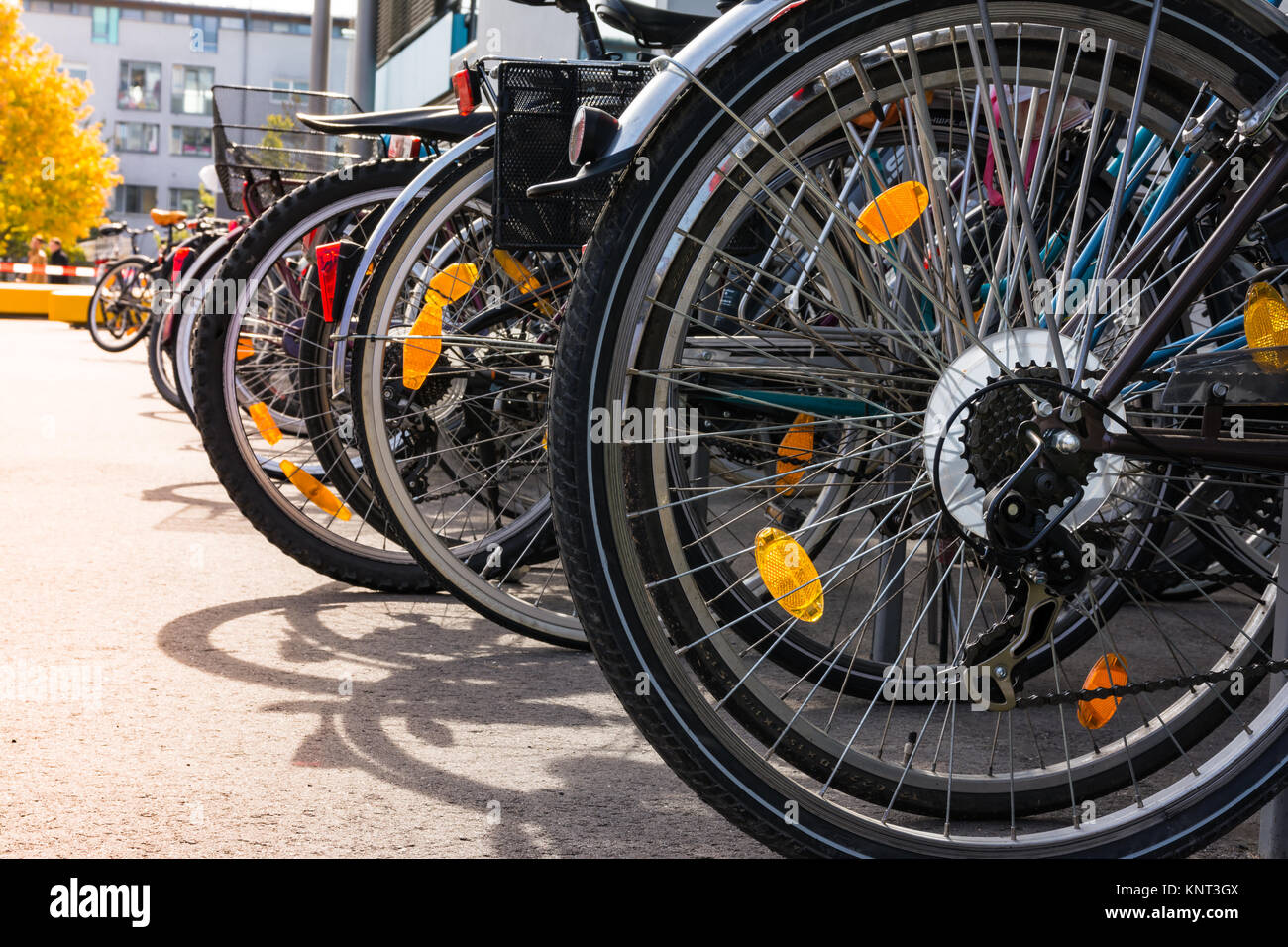 Many Bike Bicycle Rack Row University Campus Outdoors Transportation ...