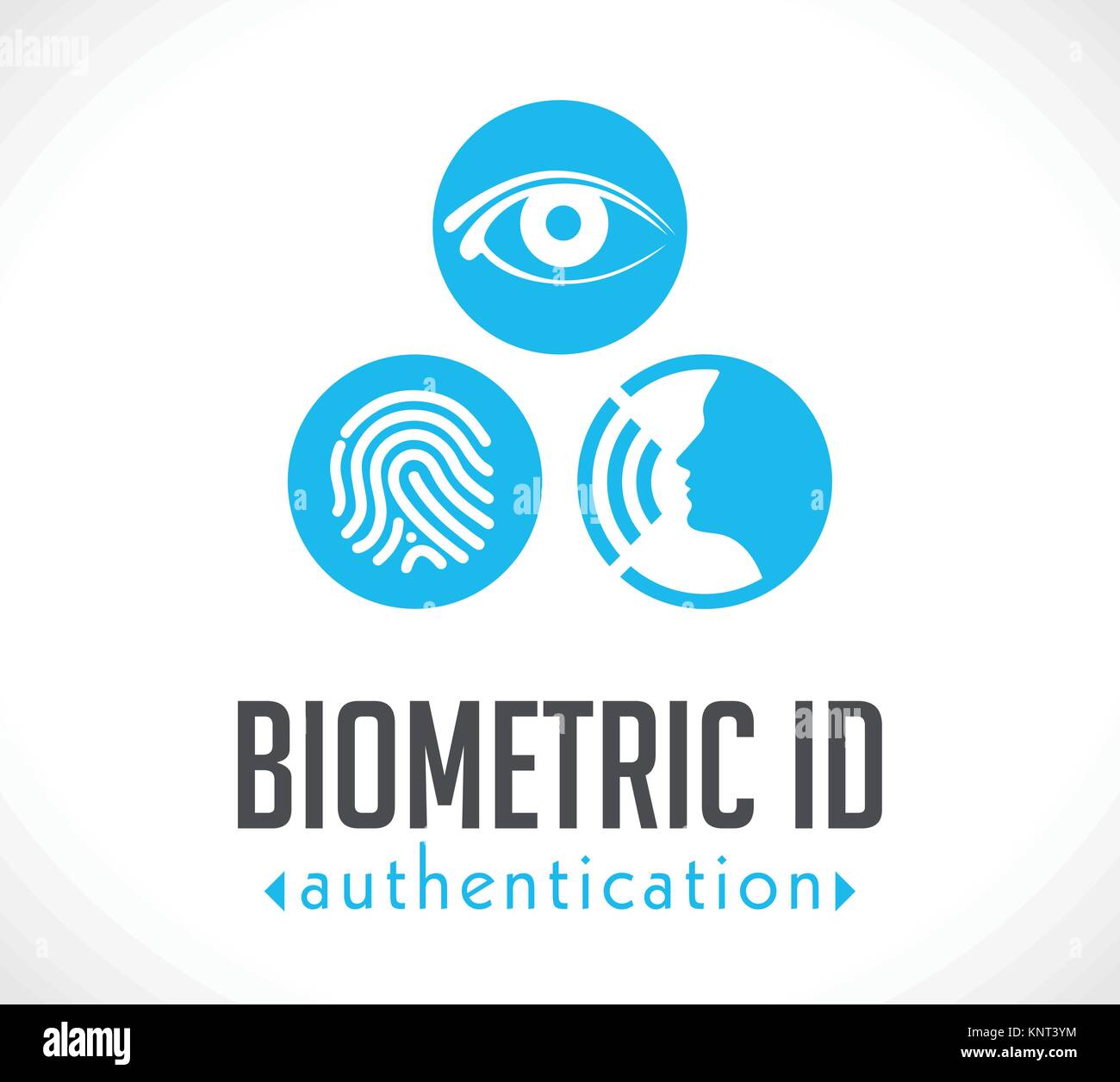Biometric Id Card Stock Vector Images - Alamy