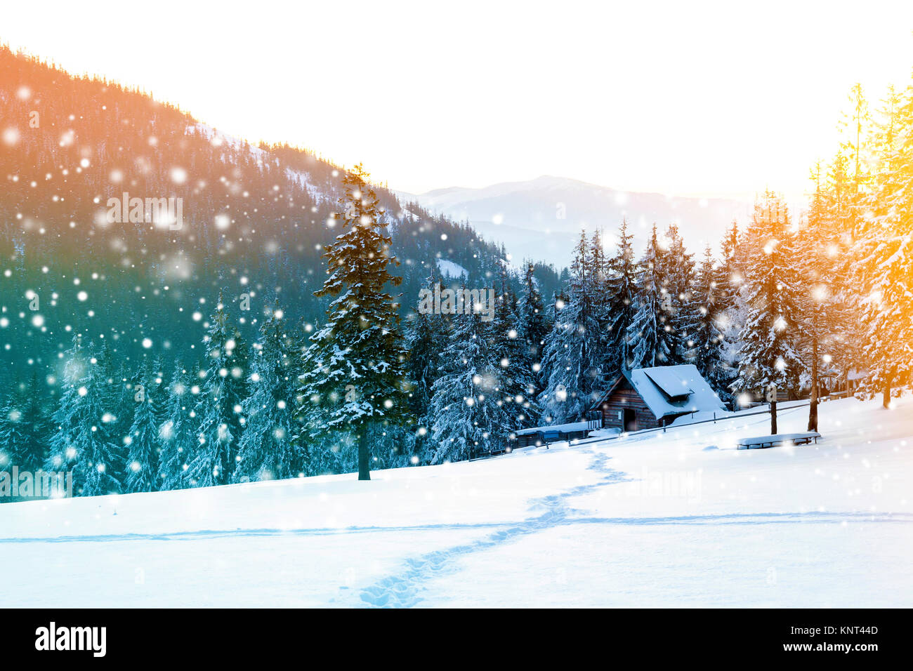Beautiful winter landscape in the mountains with falling snow and path ...