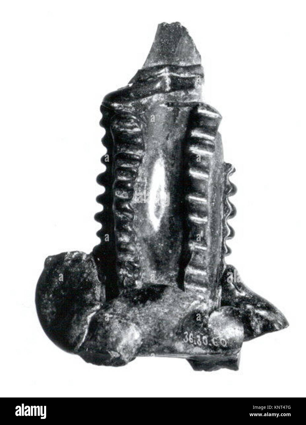 A fragment of a double-spouted ceramic bottle, demonstrating historical ...