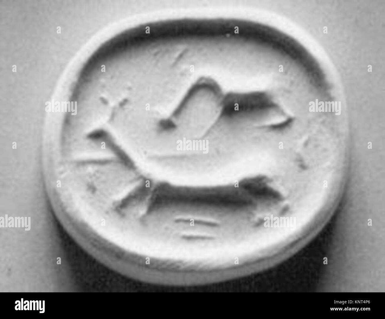 A flattened hemispheroid seal, showing engraved symbols and form ...