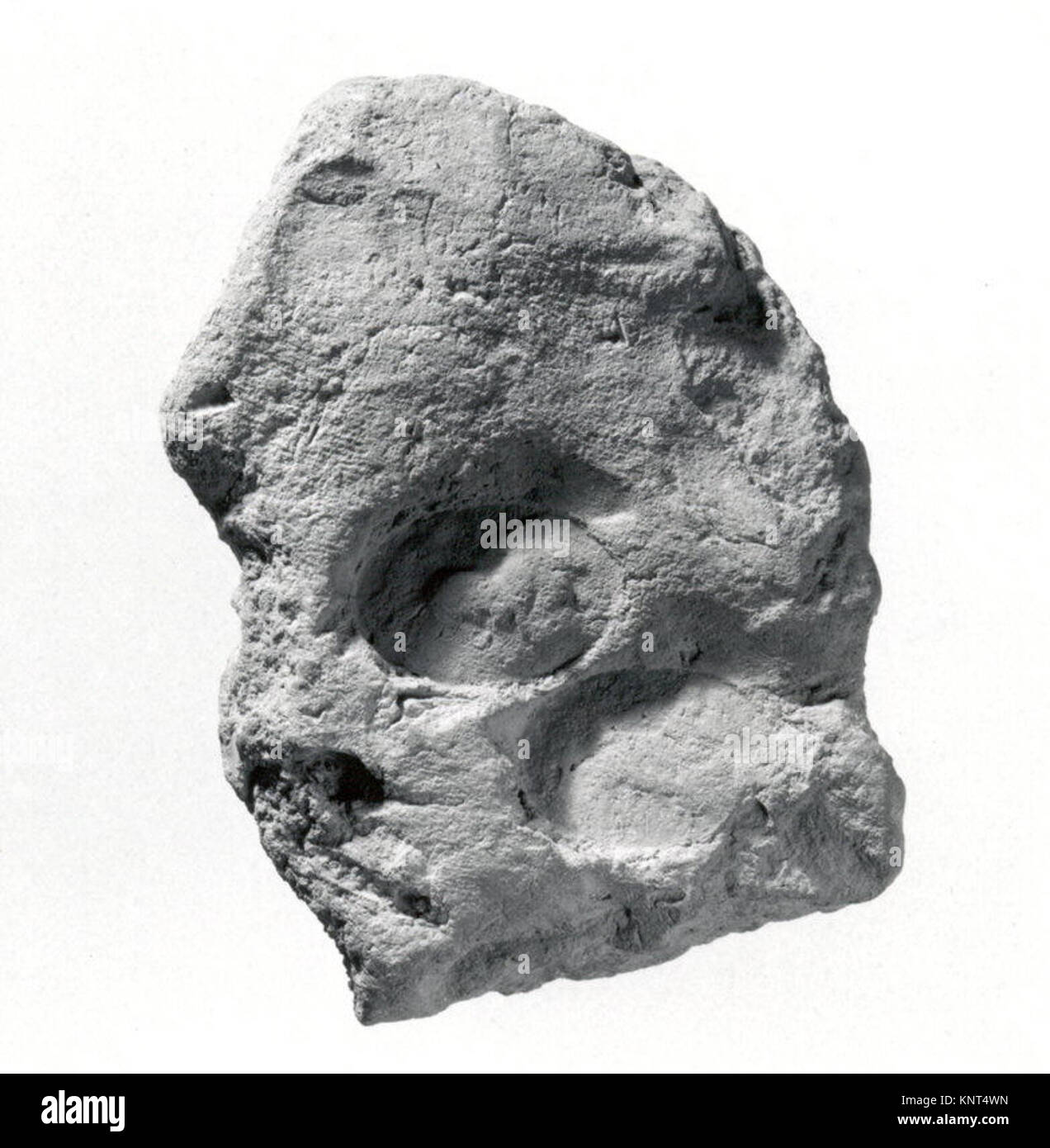 Bulla MET ME1978 93 30 326458 Stock Photo - Alamy