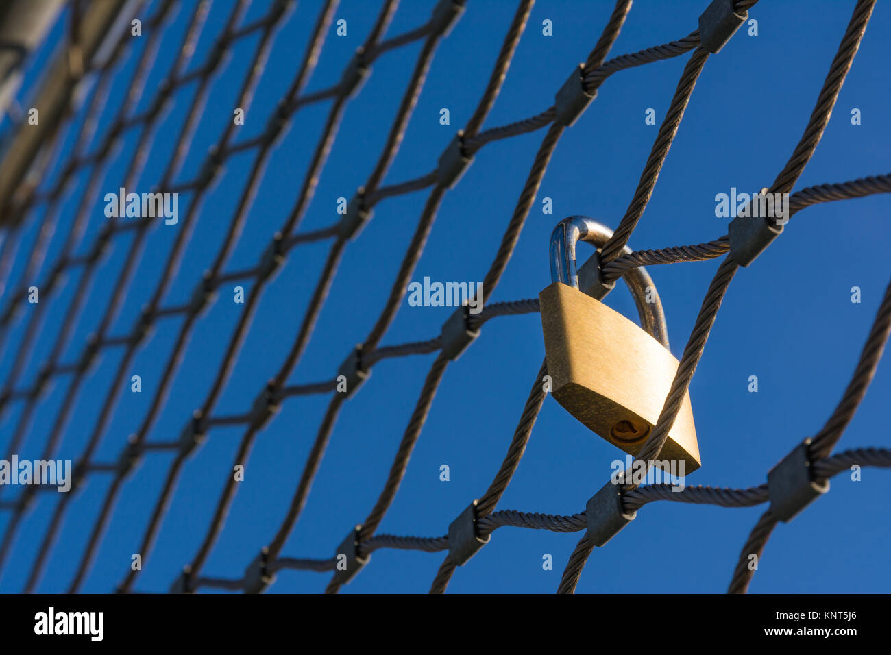 Love Lock Golden Padlock Hanging Tourist Travel Tourism Tradition Trend ...