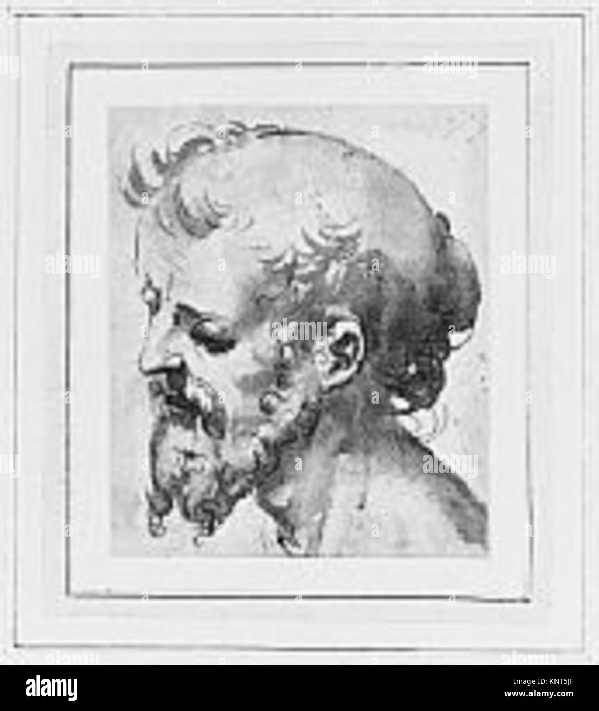 Bearded man head Black and White Stock Photos & Images - Alamy