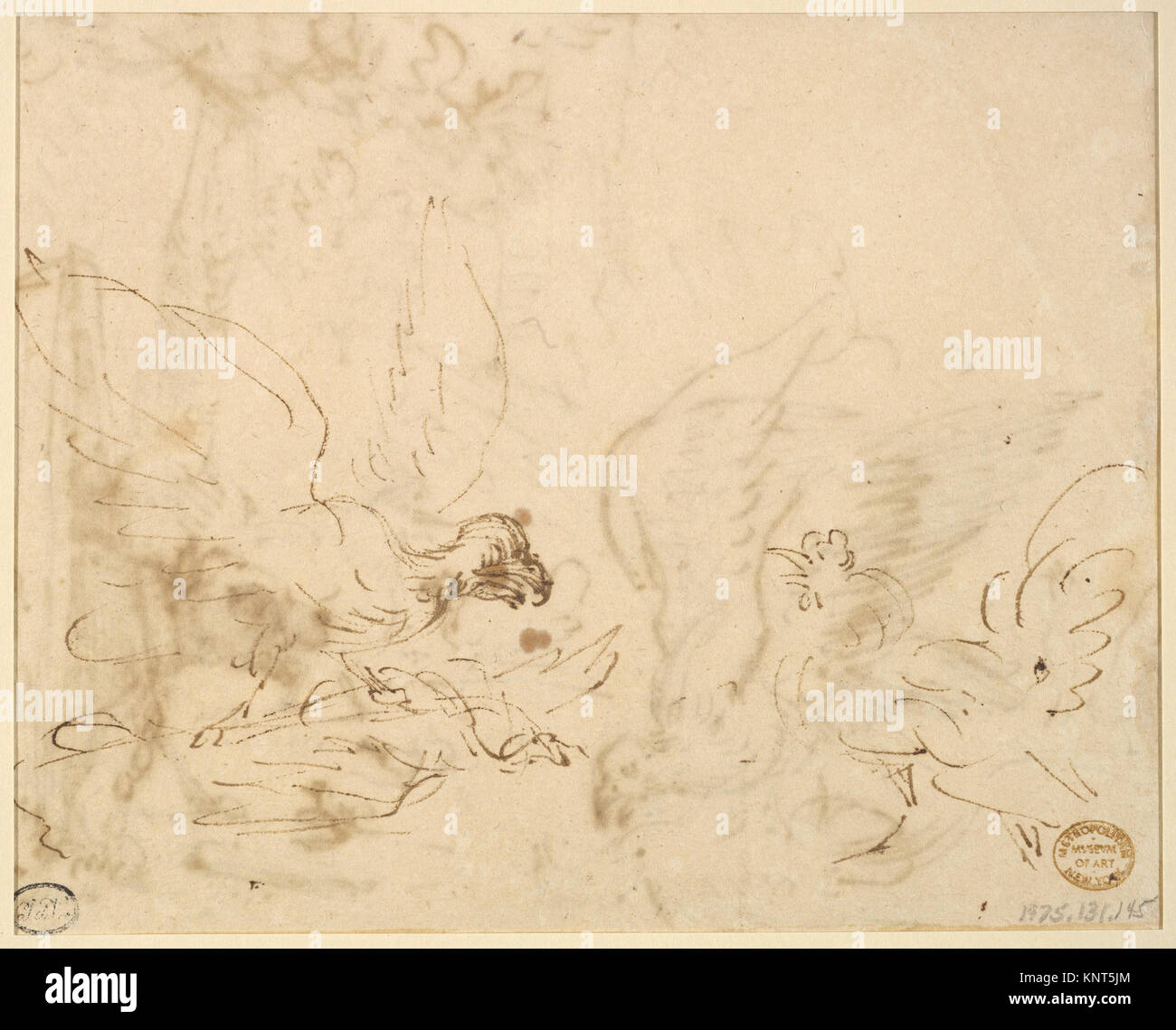 Barnyard Scene- two birds fighting (recto)Studies of Birds(verso) MET ...