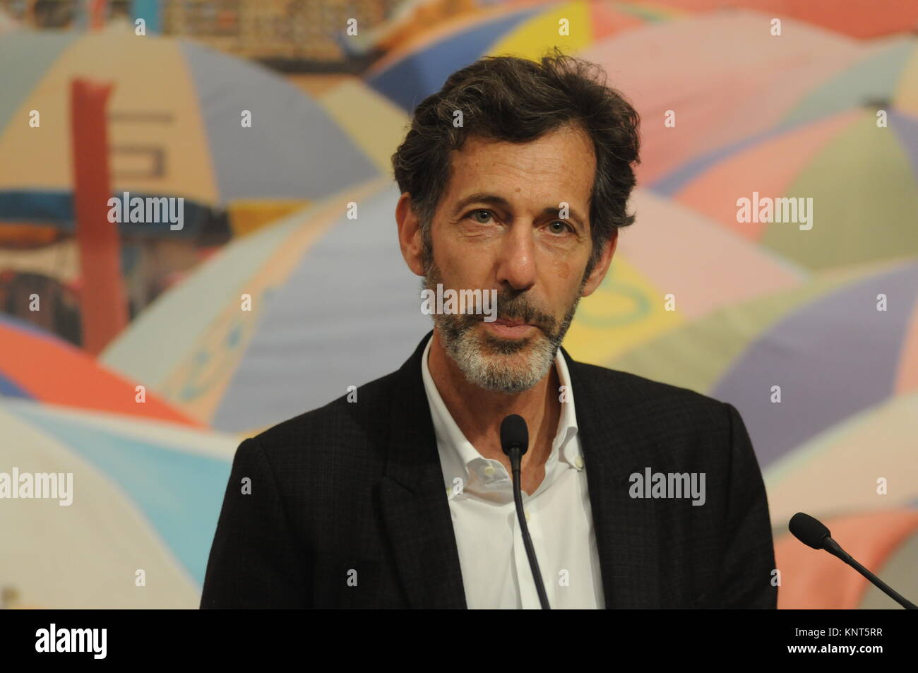 Ralph Rugoff, curator of 13th Contemporary Art Biennale, Lyon, France ...