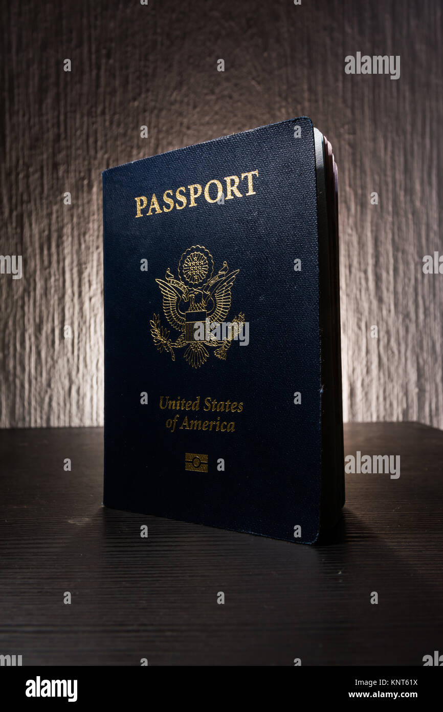 Travel Passport Booklet Cover United States American Black Contrast ...