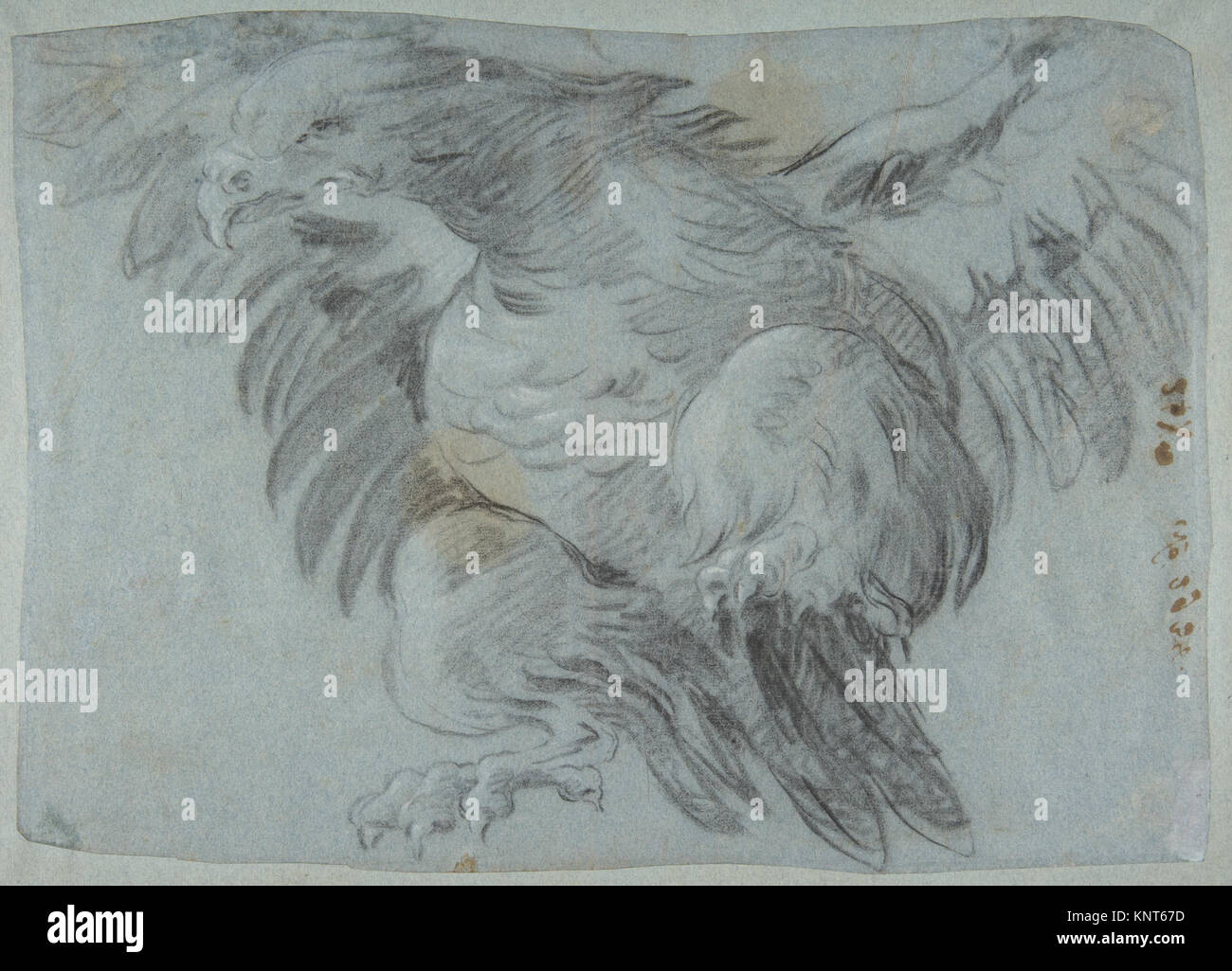 Drawing from the Metropolitan Museum of Art, catalog DP811963 339408 ...