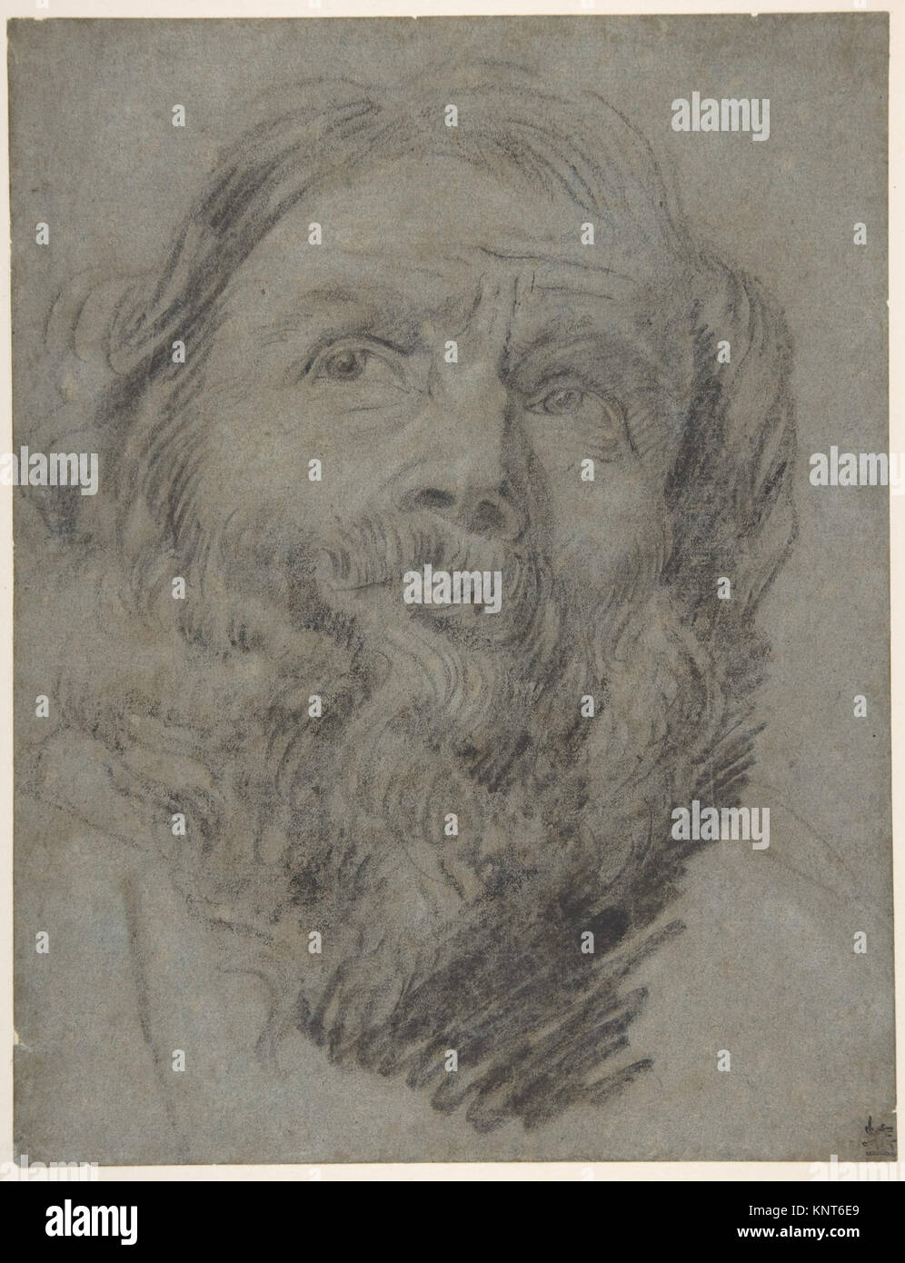 Drawing from the Metropolitan Museum of Art, catalog DP802089 335426 ...