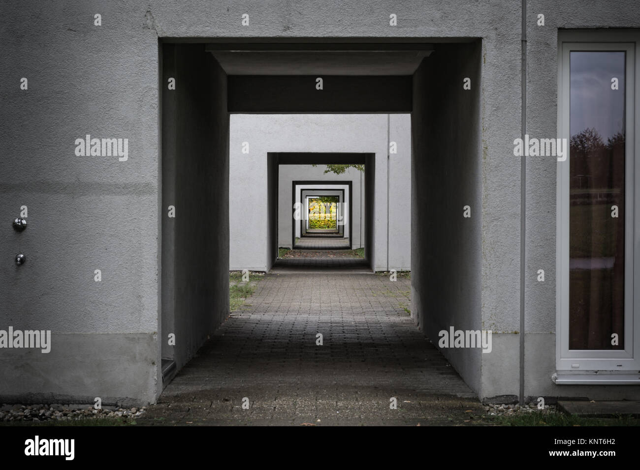 Orange Green Trees Leaves Fall Autumn Light End Tunnel Archway Corridor ...