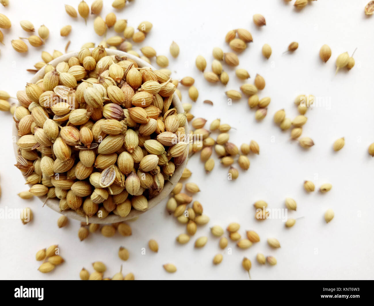 Coriander Seeds Healthy Fruit spice Food Ingredient Stock Photo - Alamy