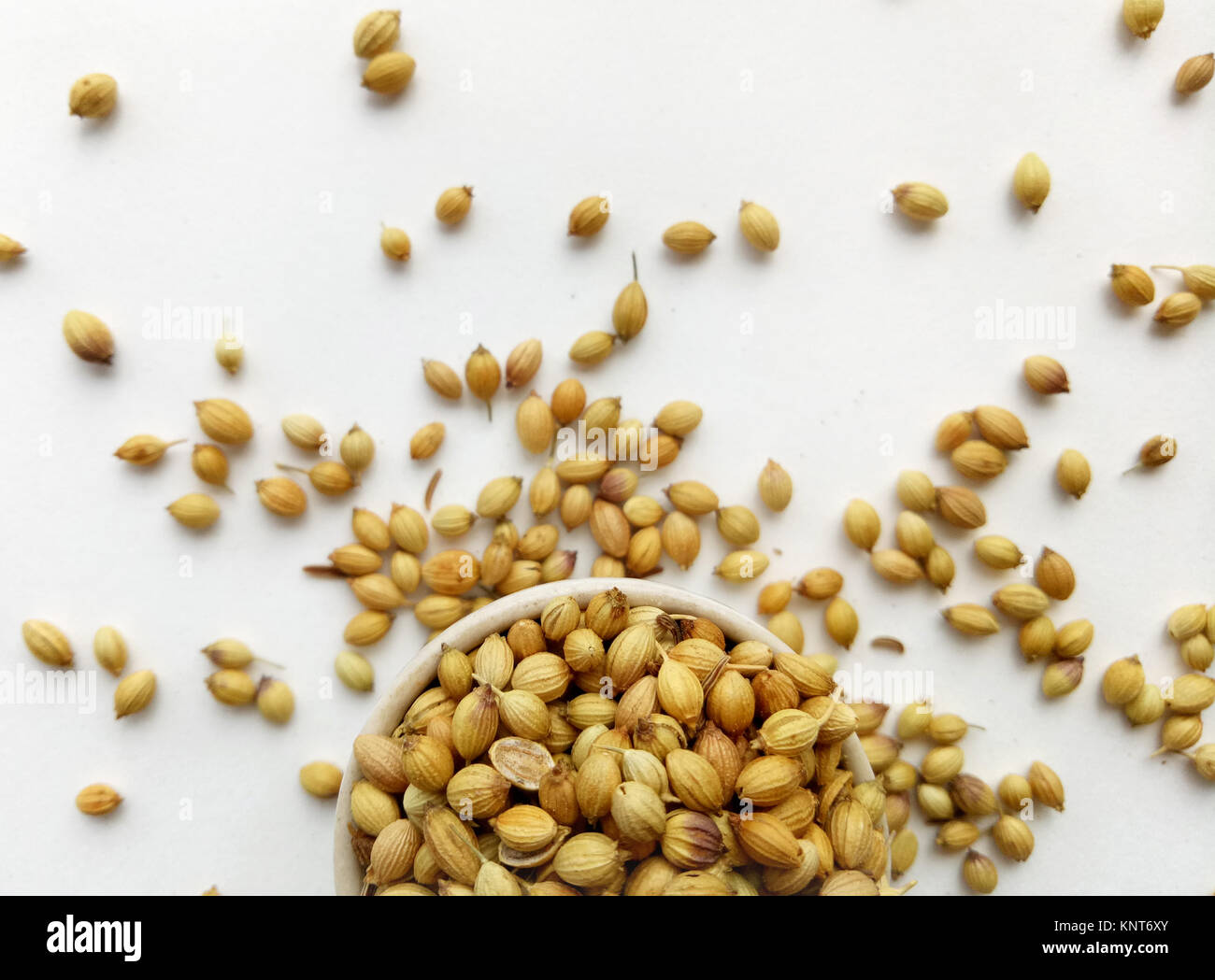 Coriander Seeds Healthy Fruit spice Food Ingredient Stock Photo - Alamy