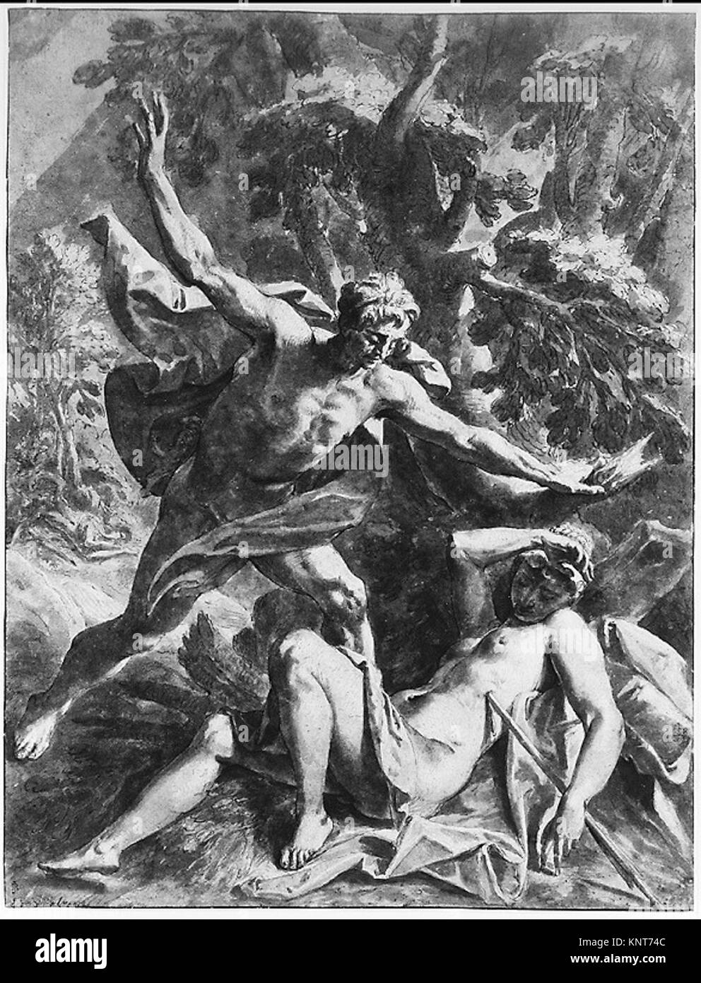 Cephalus Black and White Stock Photos & Images - Alamy