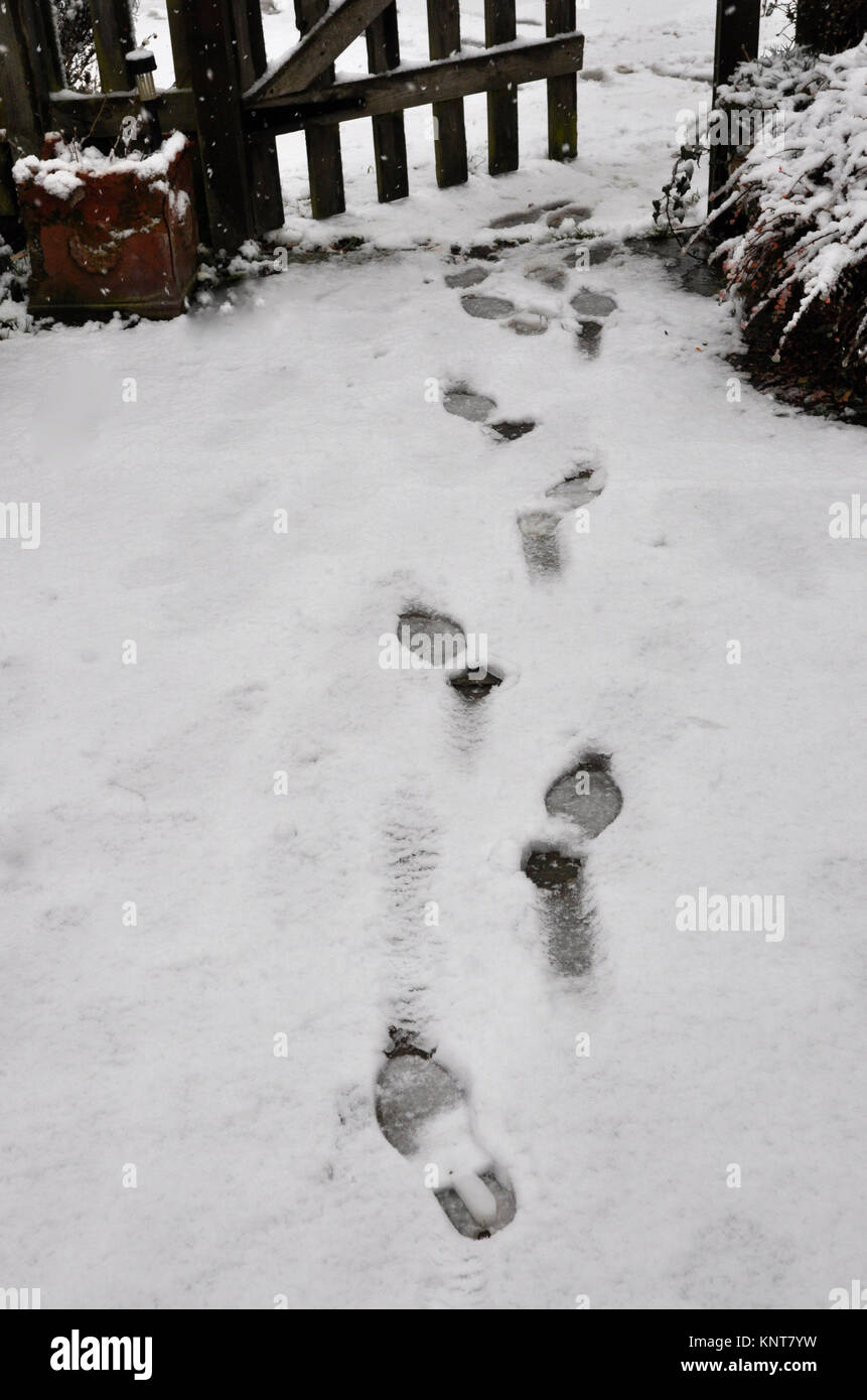 footsteps in snow Stock Photo - Alamy