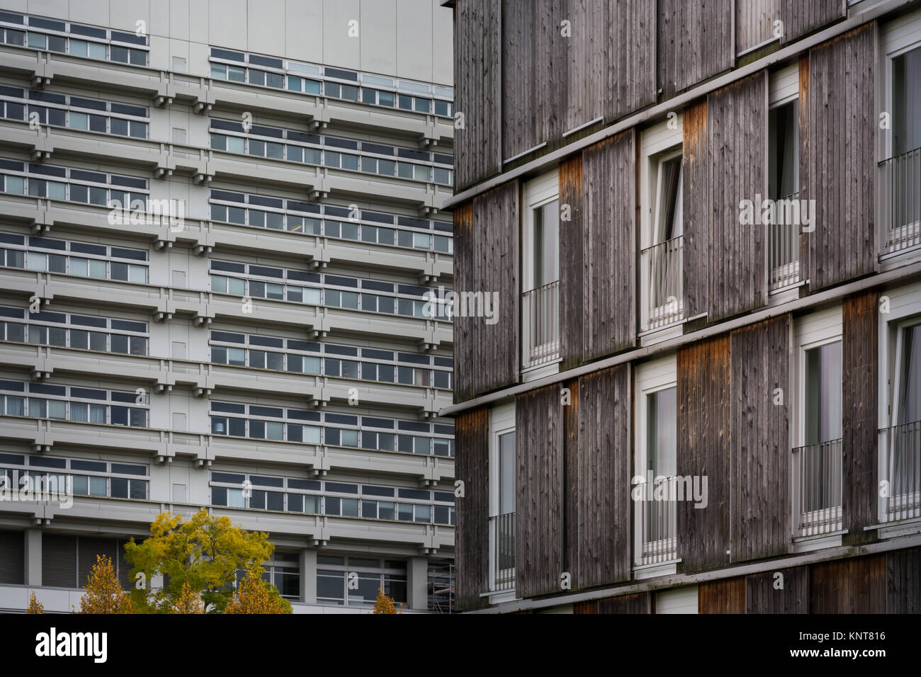 Wood Log Panel Building Rough Brown Shades Burnt Look Exterior ...