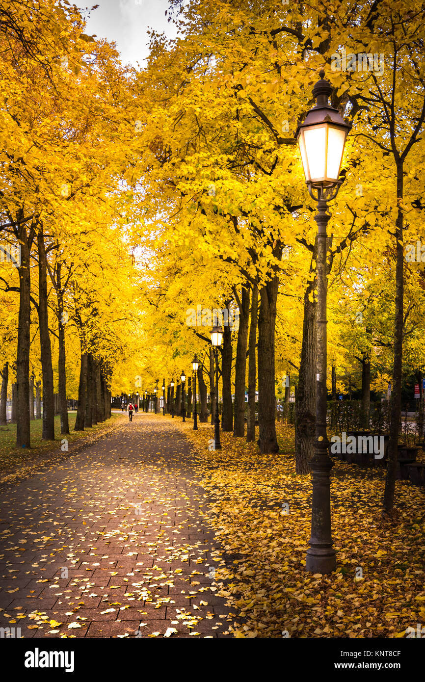 Warm yellow street lamps hi-res stock photography and images - Alamy