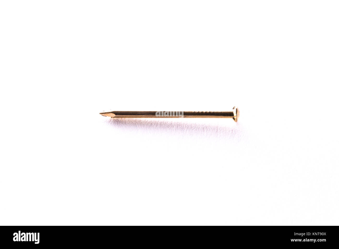 Single Nail Metal Chrome Gold Standing Laying Object Construction ...
