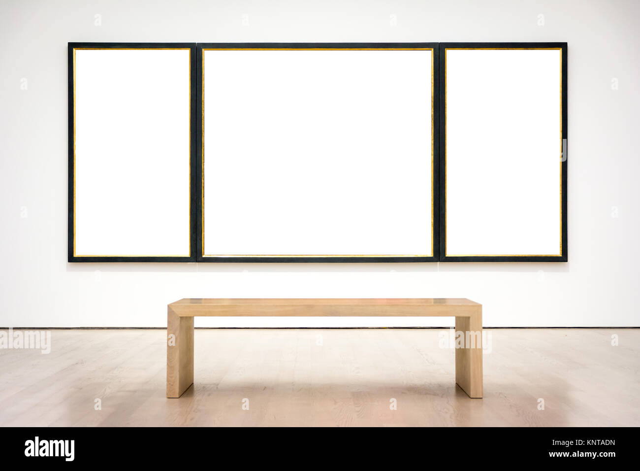 Modern Art Museum Frame Wall Clipping Path Isolated White Vector ...