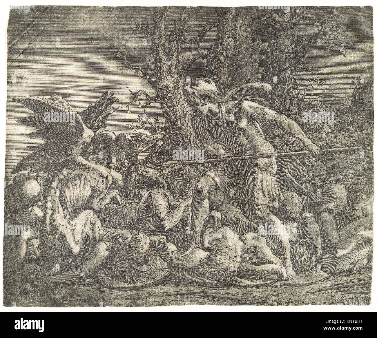 Cadmus fighting hi-res stock photography and images - Alamy