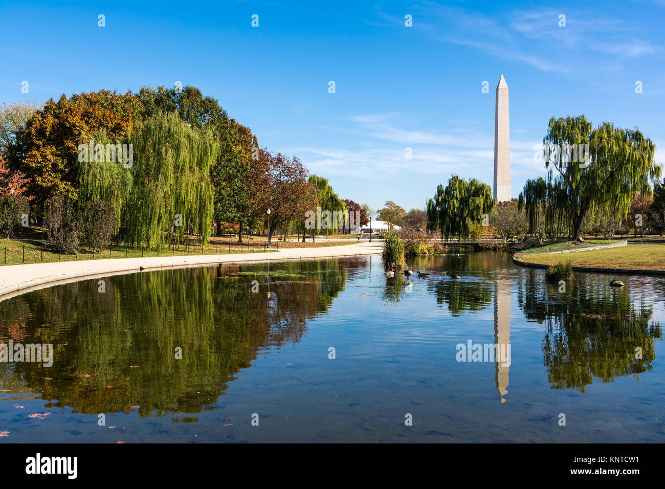Washington Monument Natural Landscape Constitution Gardens Grass Autumn ...